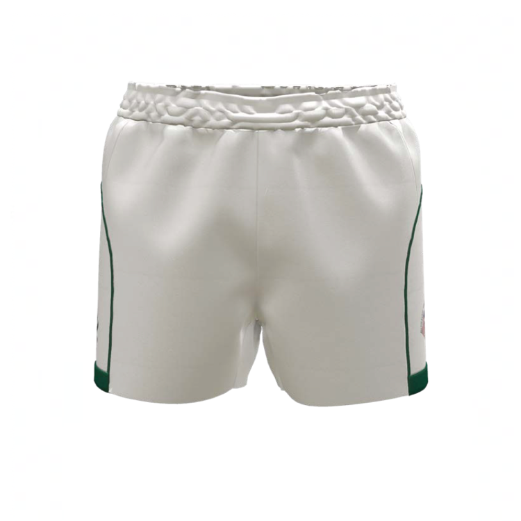 IN STOCK Boston Irish Wolfhounds Playing Shorts